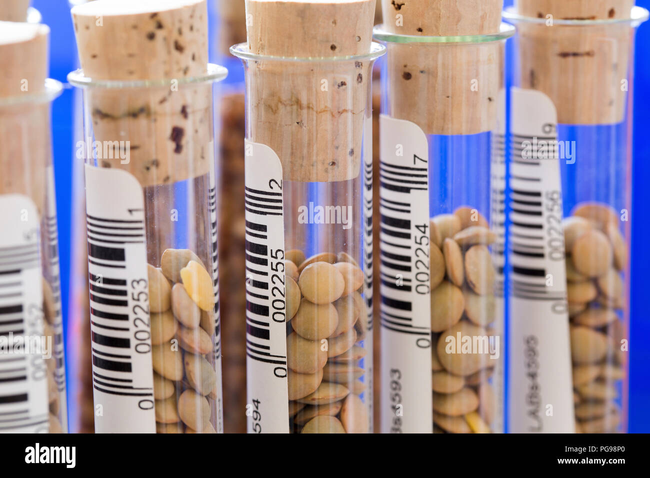 Agriculture research, conceptual image Stock Photo - Alamy
