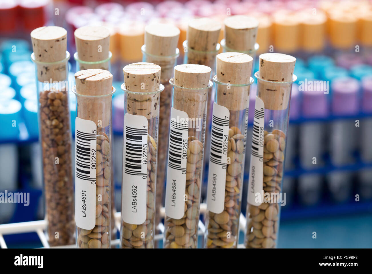 Agriculture research, conceptual image Stock Photo - Alamy