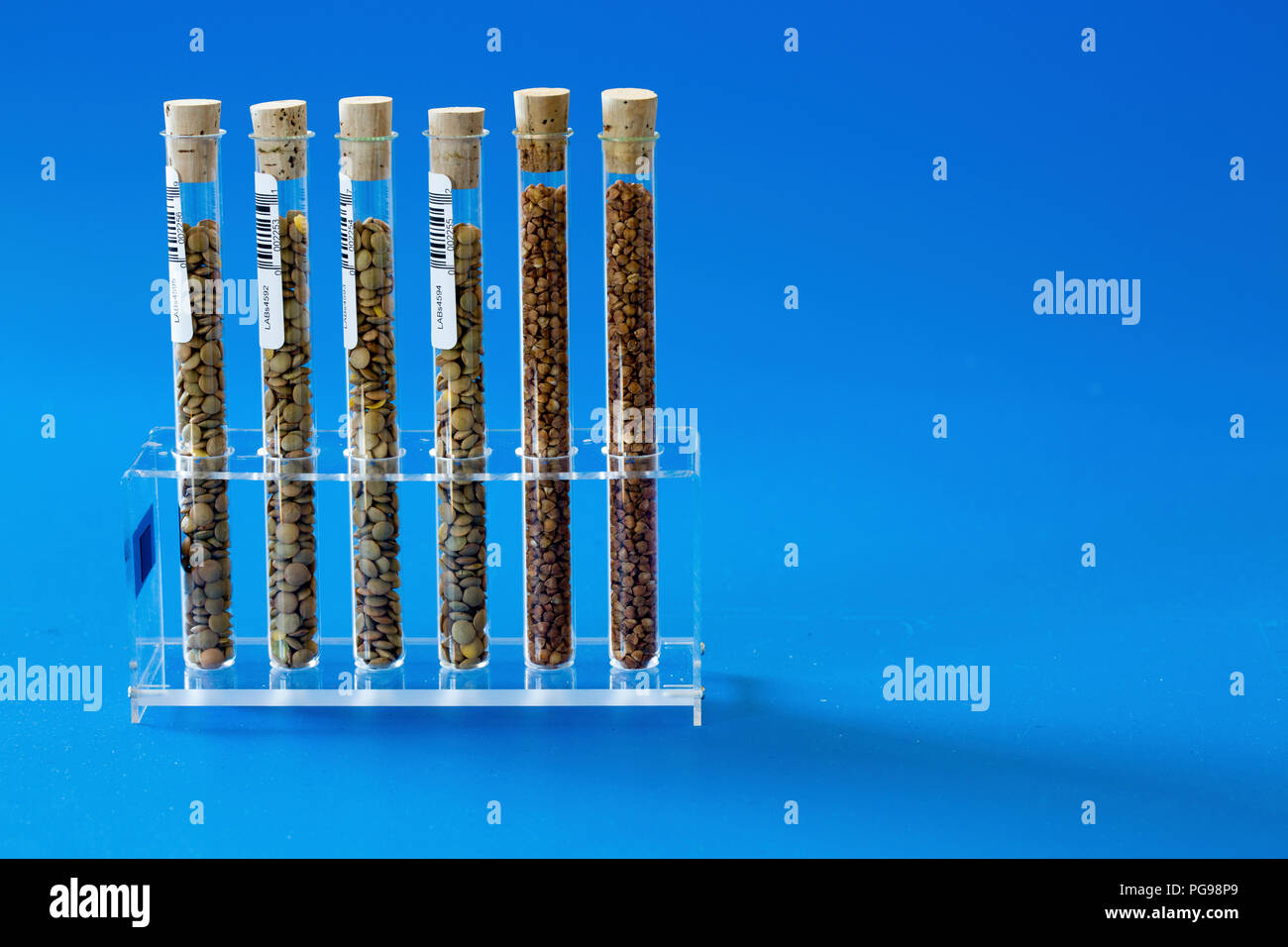 Agriculture research, conceptual image Stock Photo - Alamy