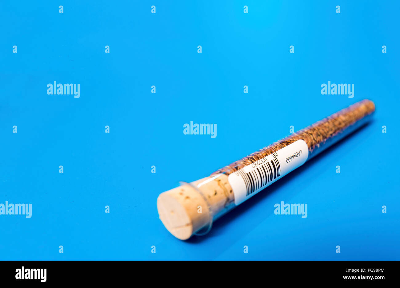 Agriculture research, conceptual image Stock Photo - Alamy