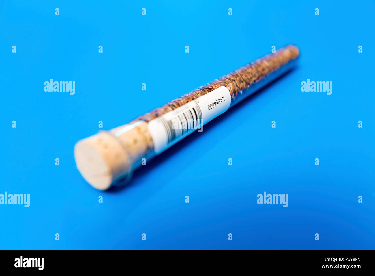 Agriculture research hi-res stock photography and images - Alamy