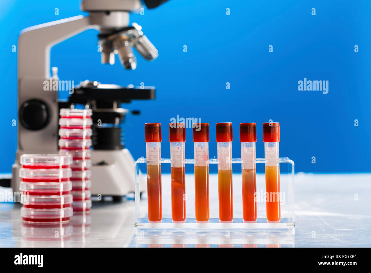 Pathology lab hi-res stock photography and images - Alamy Pathology lab hi-res stock photography and images - Alamy
