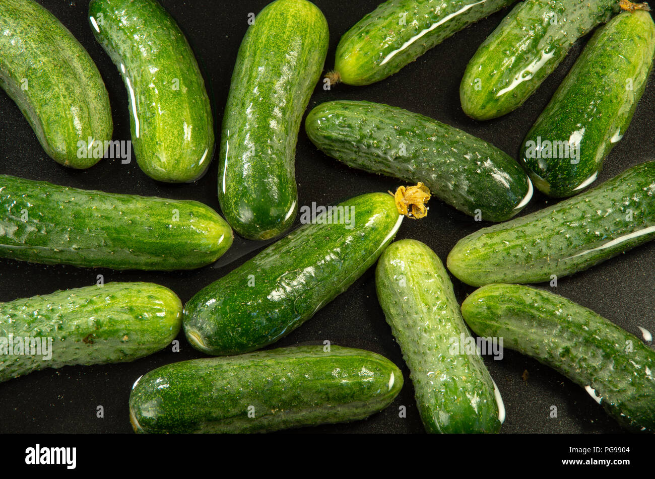 Cucumber washing hi-res stock photography and images - Alamy