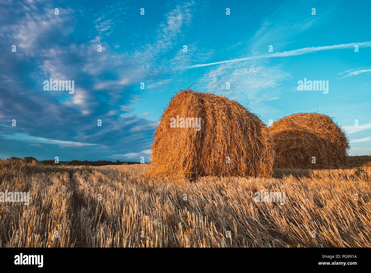 Harvesting the hay hi-res stock photography and images - Alamy