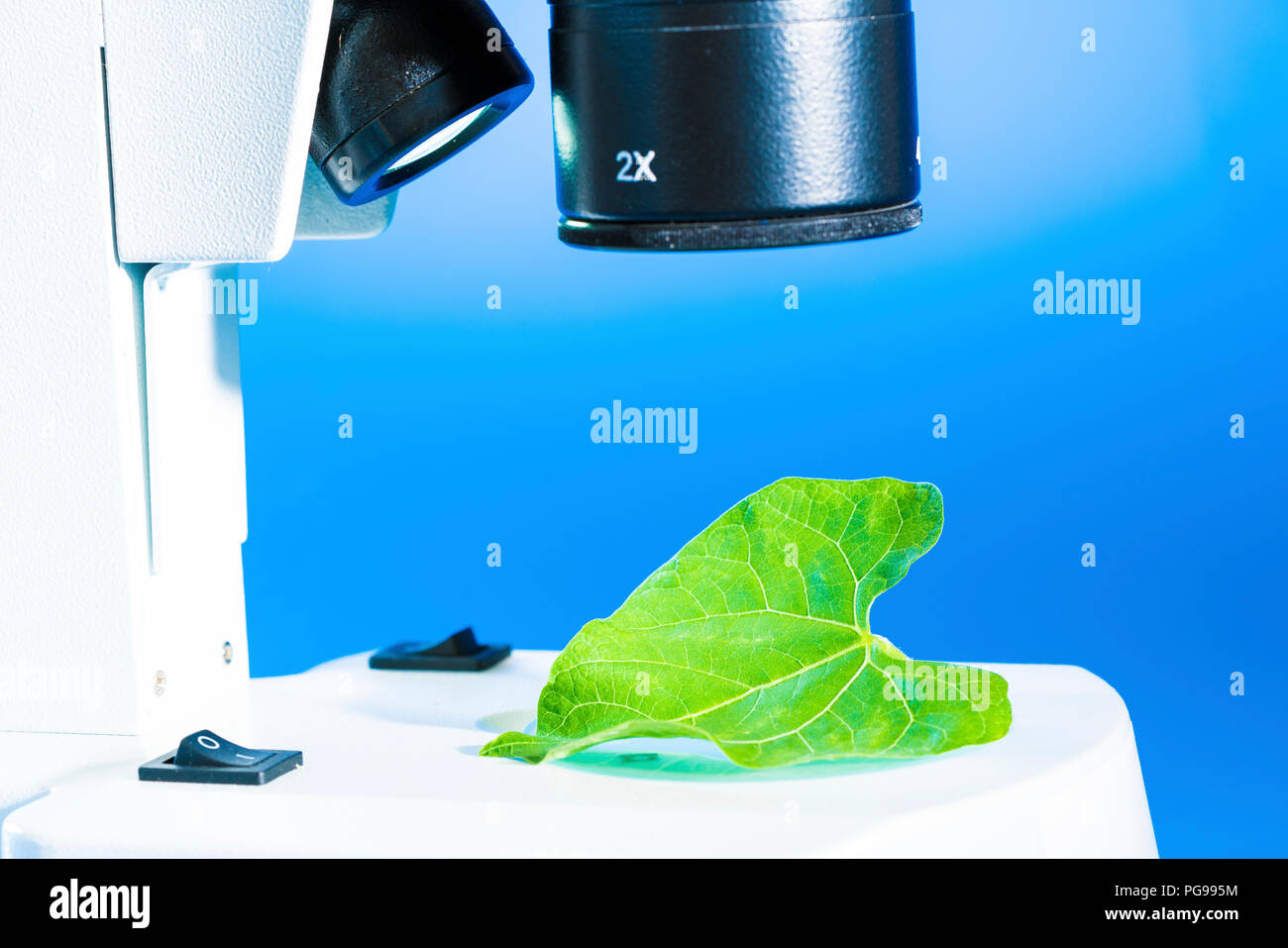 Plant research, conceptual image Stock Photo - Alamy