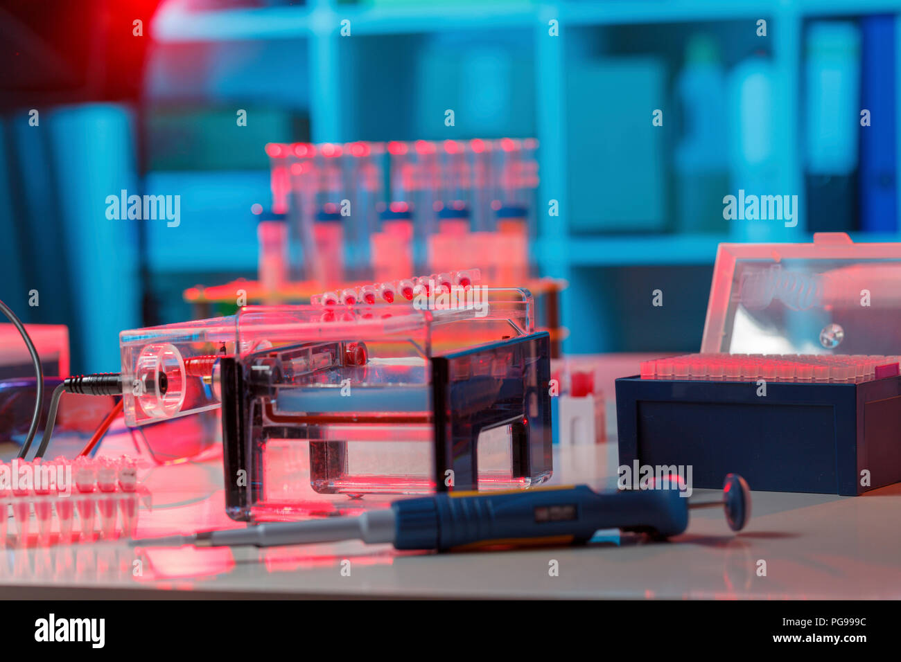Gel electrophoresis equipment Stock Photo - Alamy