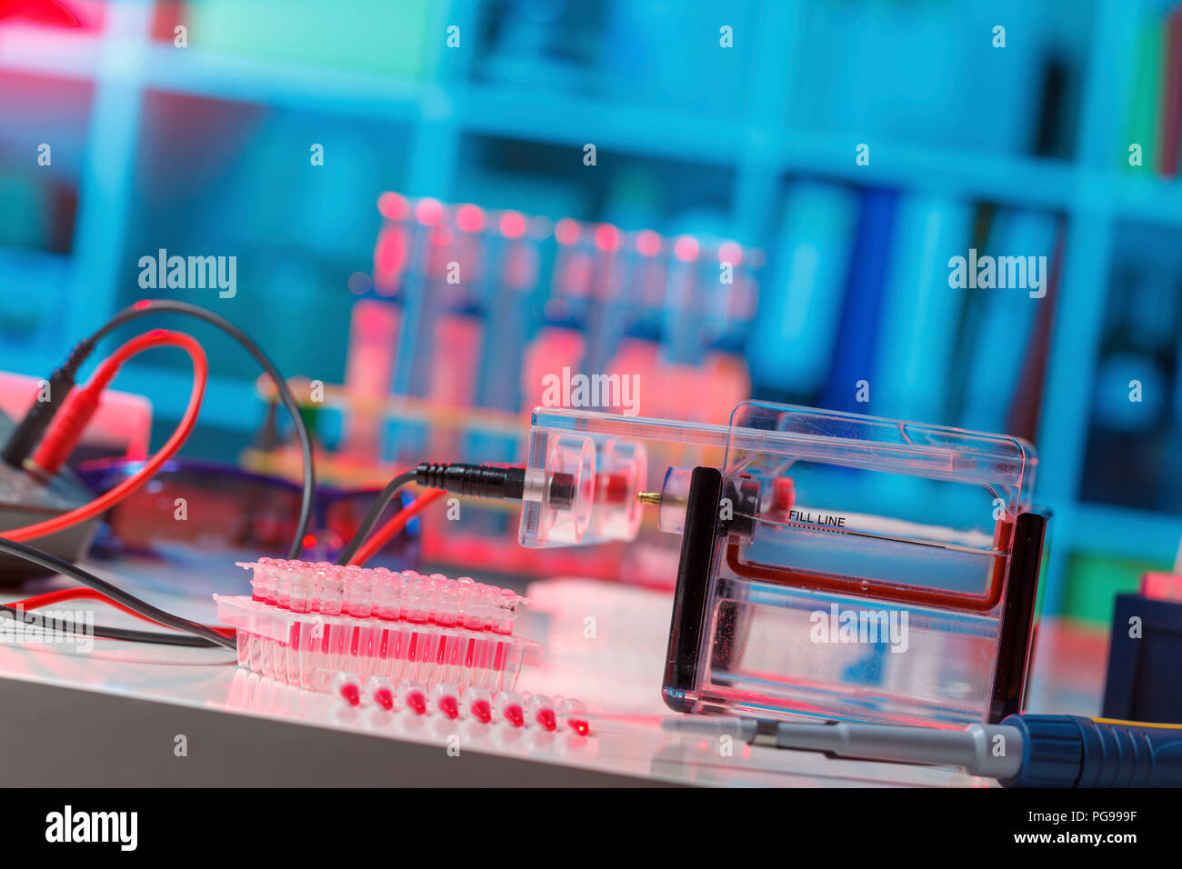 Gel electrophoresis equipment Stock Photo - Alamy