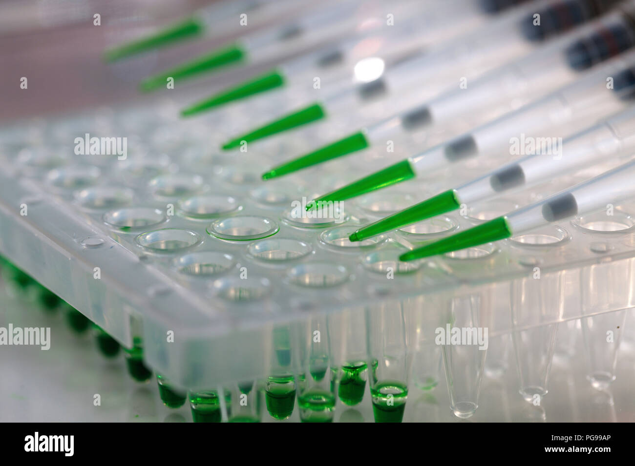 Multichannel pipette hi-res stock photography and images - Alamy