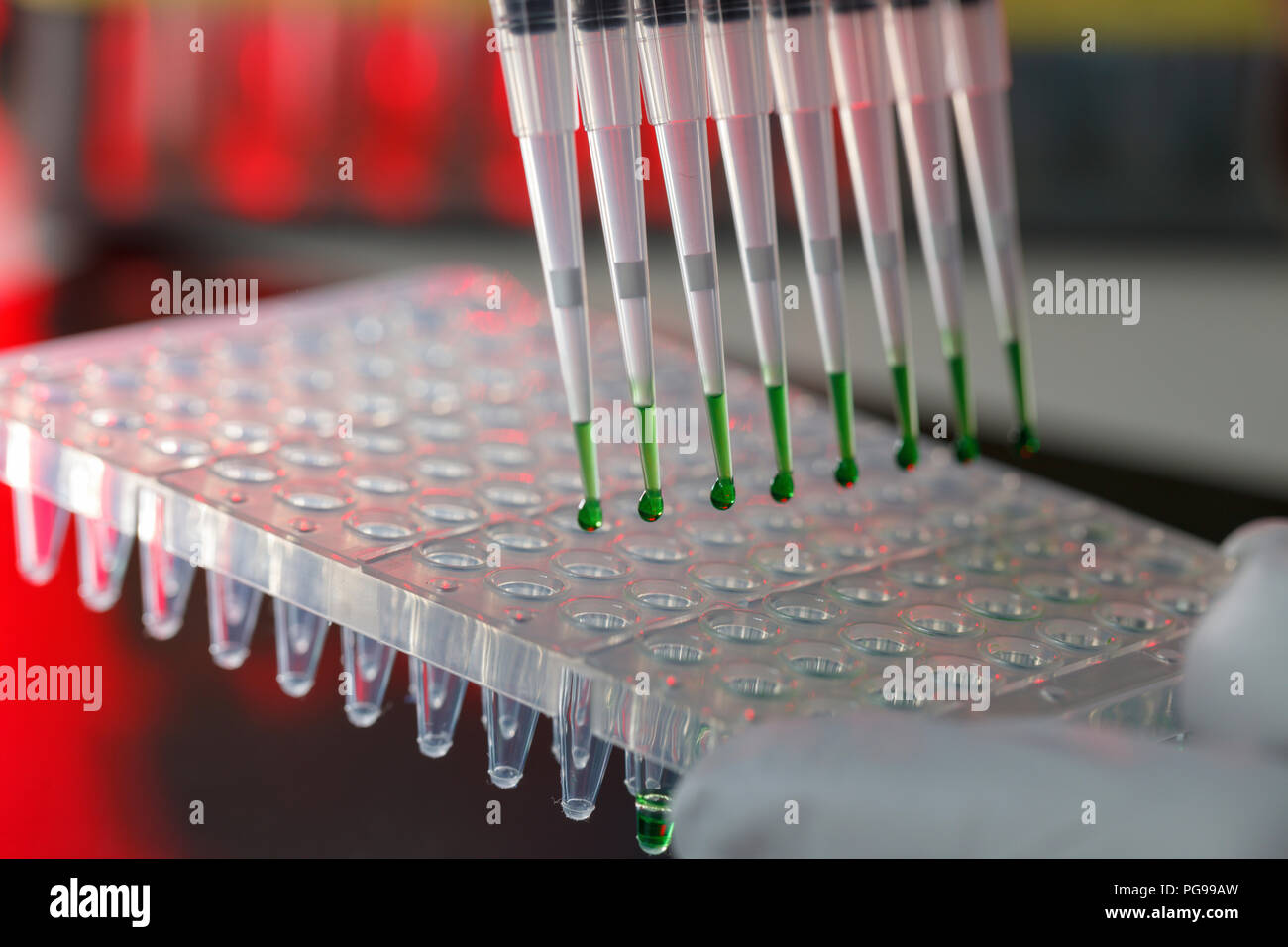 Multichannel pipette hi-res stock photography and images - Alamy