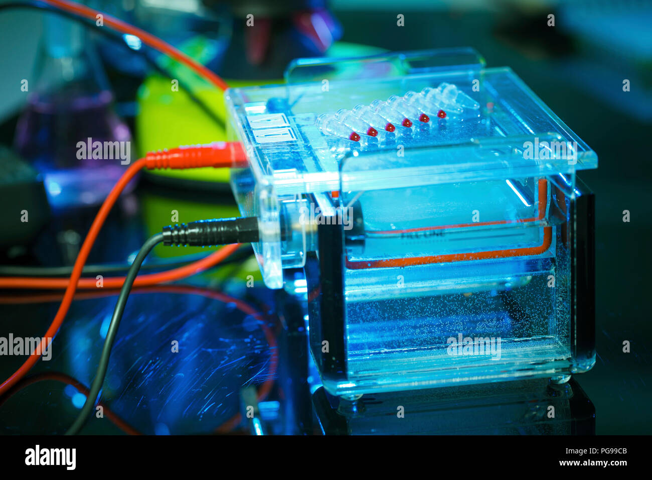 Electrophoresis equipment hi-res stock photography and images - Alamy
