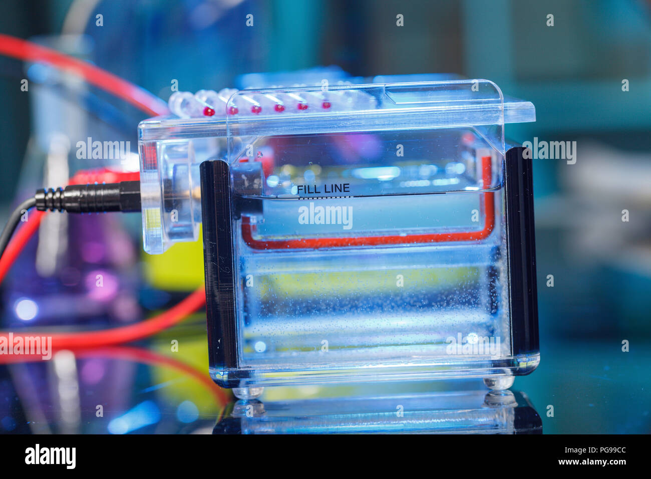 Electrophoresis Chamber