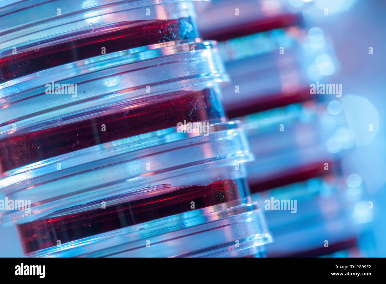 Bacteriological research hi-res stock photography and images - Alamy