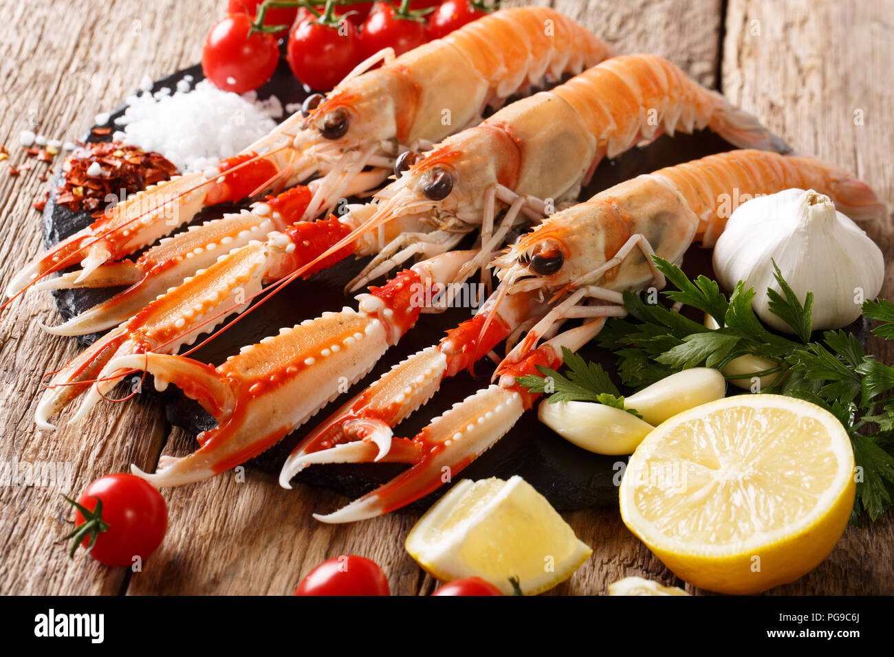 Nephrops norvegicus hi-res stock photography and images - Alamy