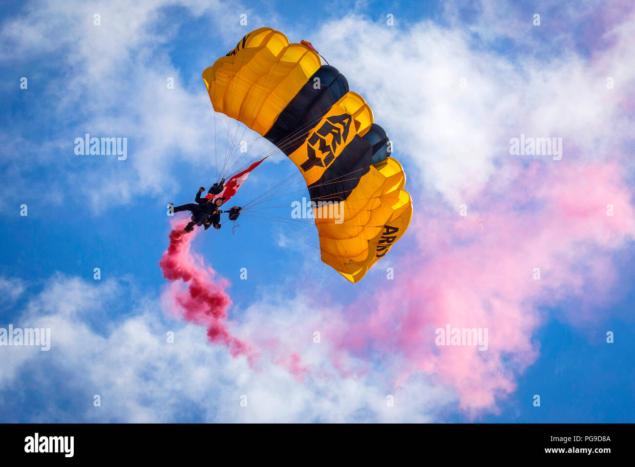 A U.S. Army soldier with the U.S. Army Golden Knights Parachute Team ...