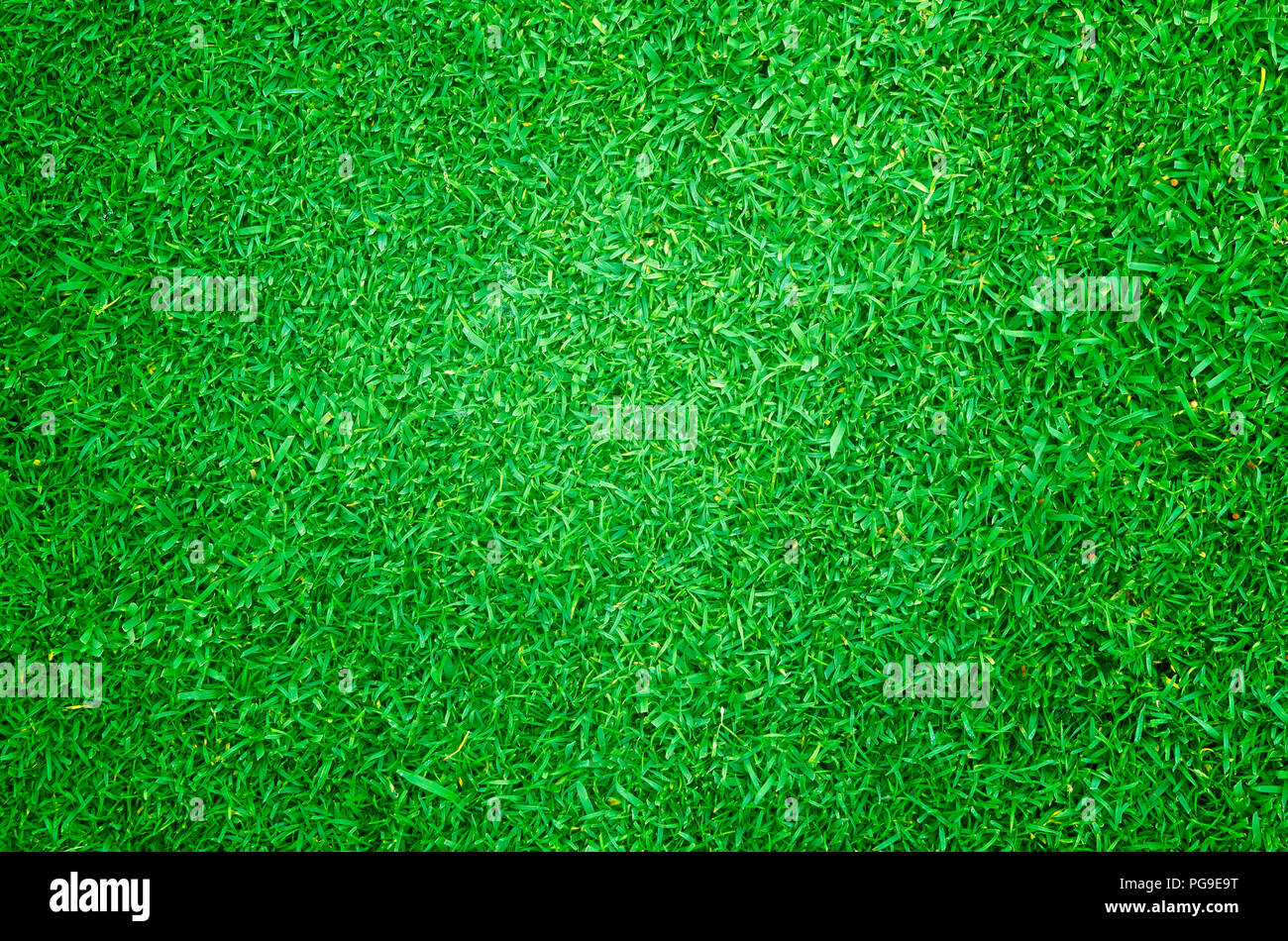 green grass texture lawn pattern textured background Stock Photo - Alamy