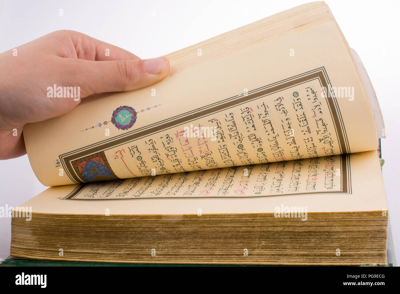 Hand holding The Holy Quran on a white background Stock Photo - Alamy