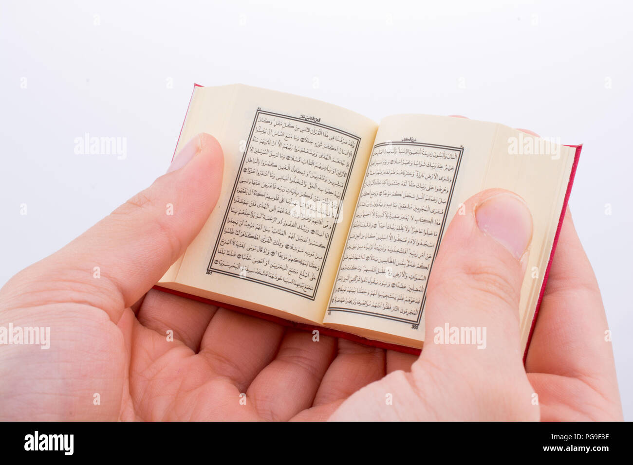 Hand holding The Holy Quran on a white background Stock Photo - Alamy