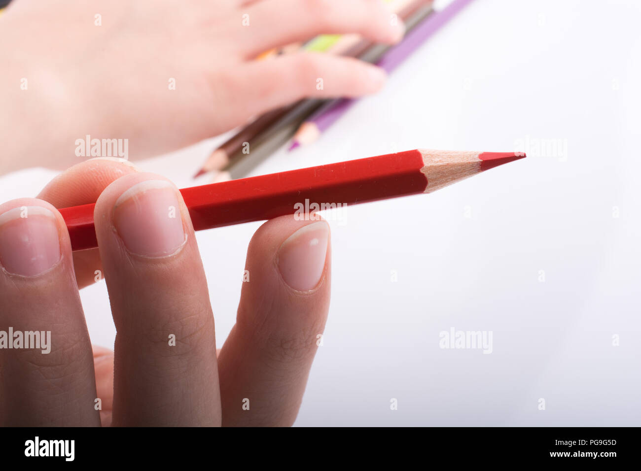 Hand holding color pencils on a white background Stock Photo - Alamy