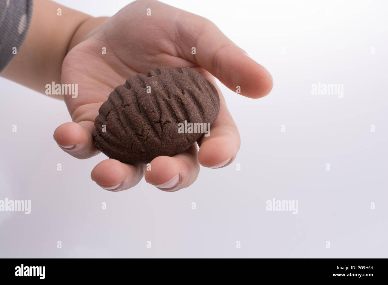 Hand holding a chocolate cookie on a white background Stock Photo - Alamy