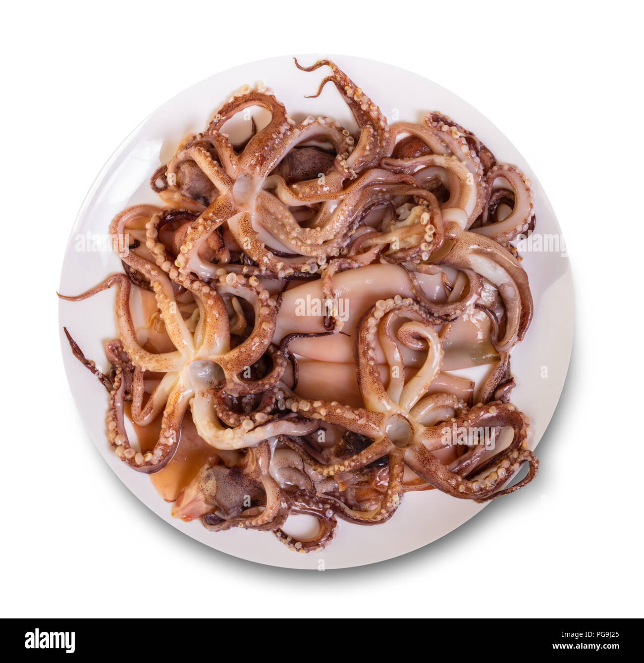 prepared squid in a plate on a white isolated background Stock Photo ...