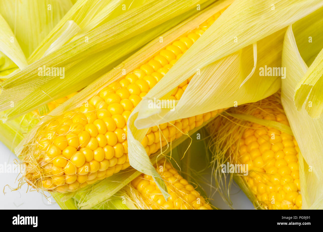 raw corn cob close-up on a white background Stock Photo - Alamy
