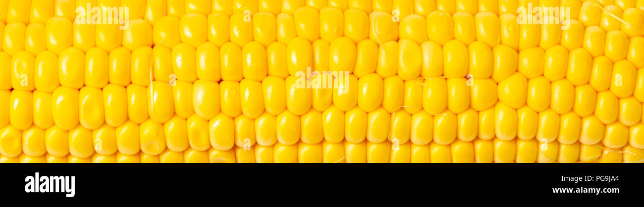 food background of a texture of corn cobs closeup Stock Photo - Alamy