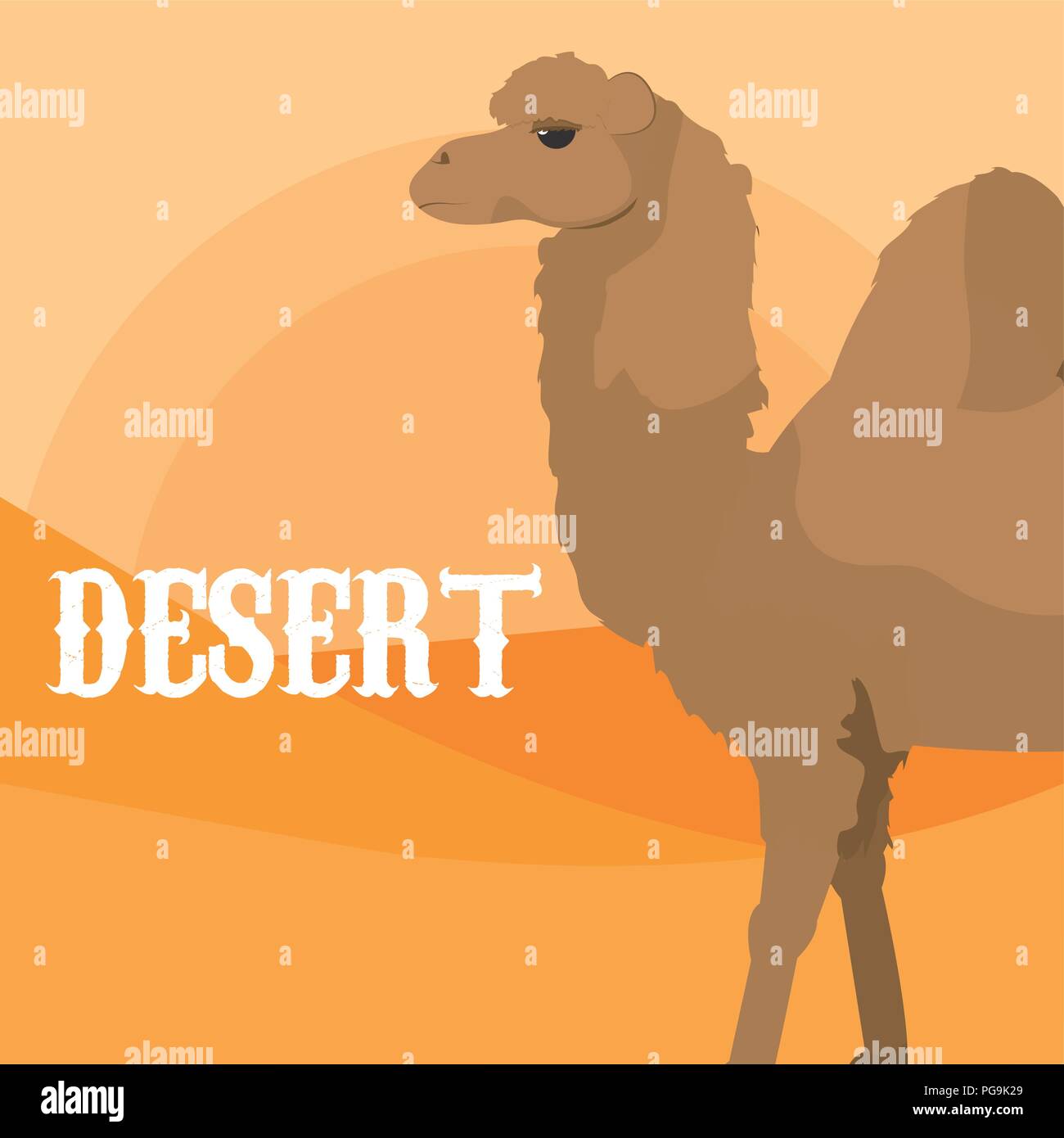 Desert animal cartoon Stock Vector Image & Art - Alamy