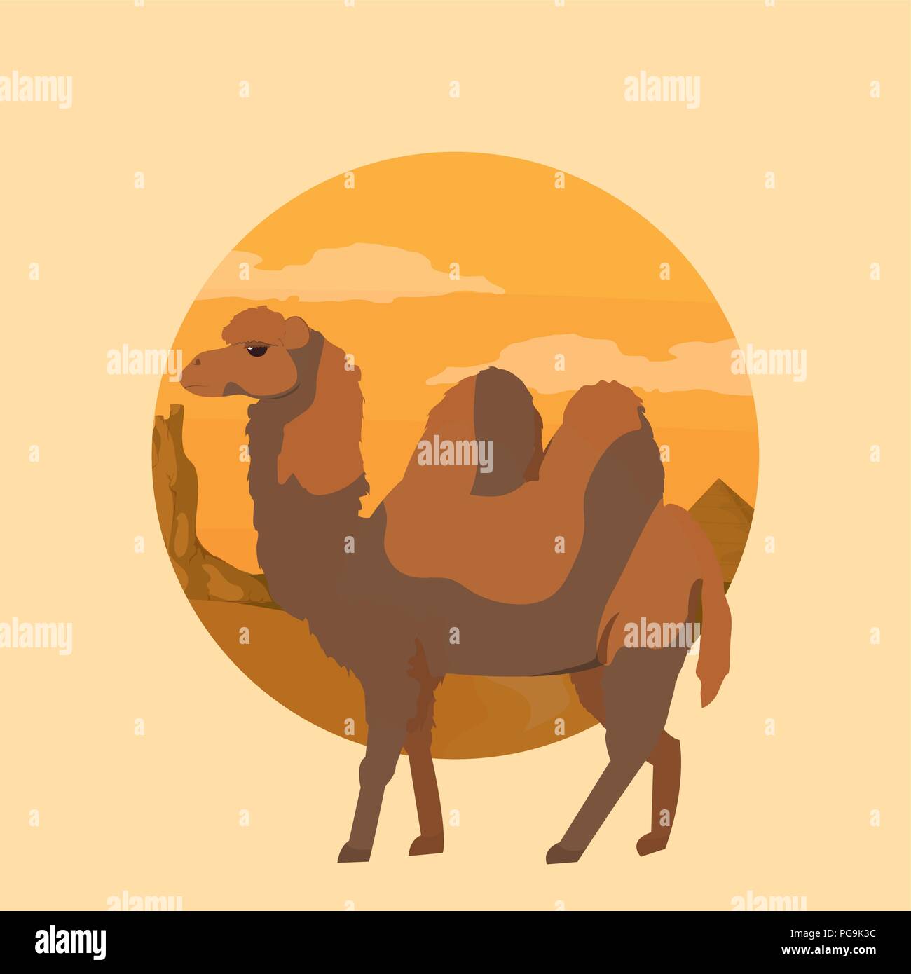 Desert animal cartoon Stock Vector Image & Art - Alamy