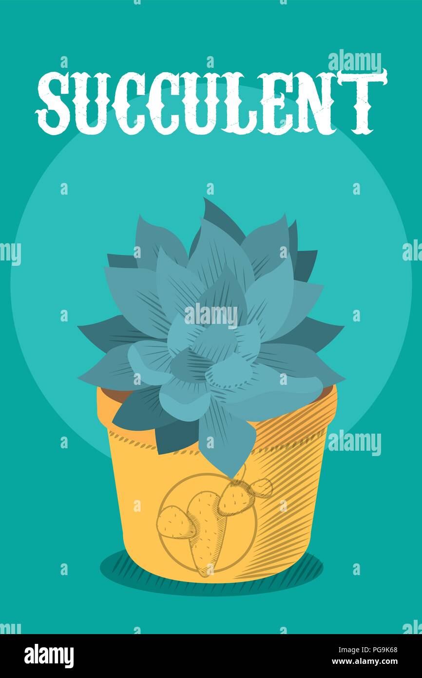 Succulent plant cartoon Stock Vector Image & Art - Alamy