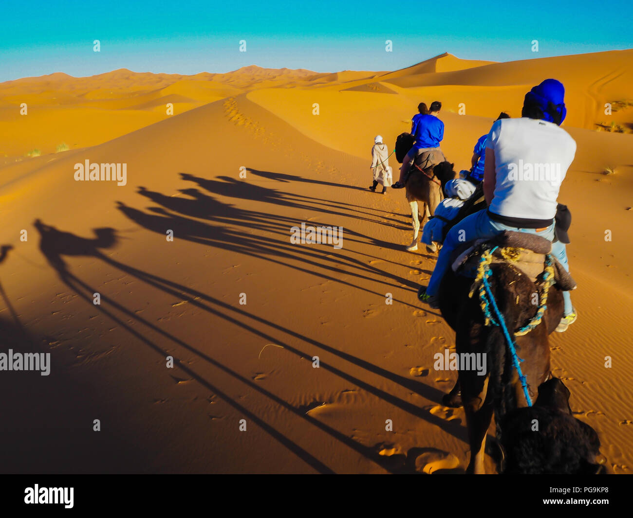 Camels riding in the Sahara Desert in Morocco Stock Photo - Alamy