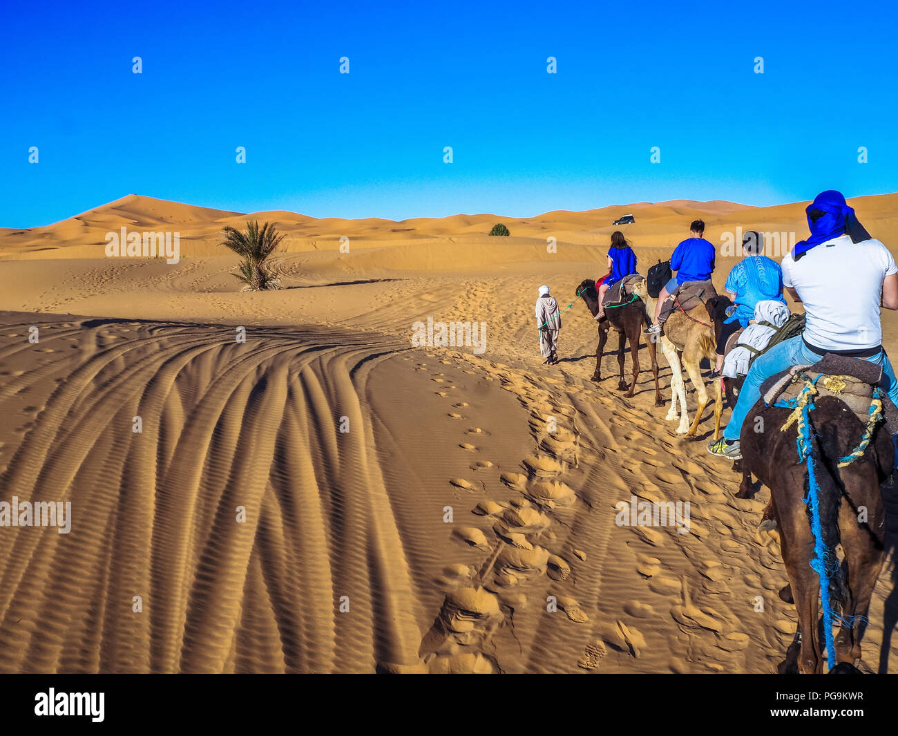 Merzouga, Morocco: March 26, 2016: Camels riding in the Sahara Desert ...