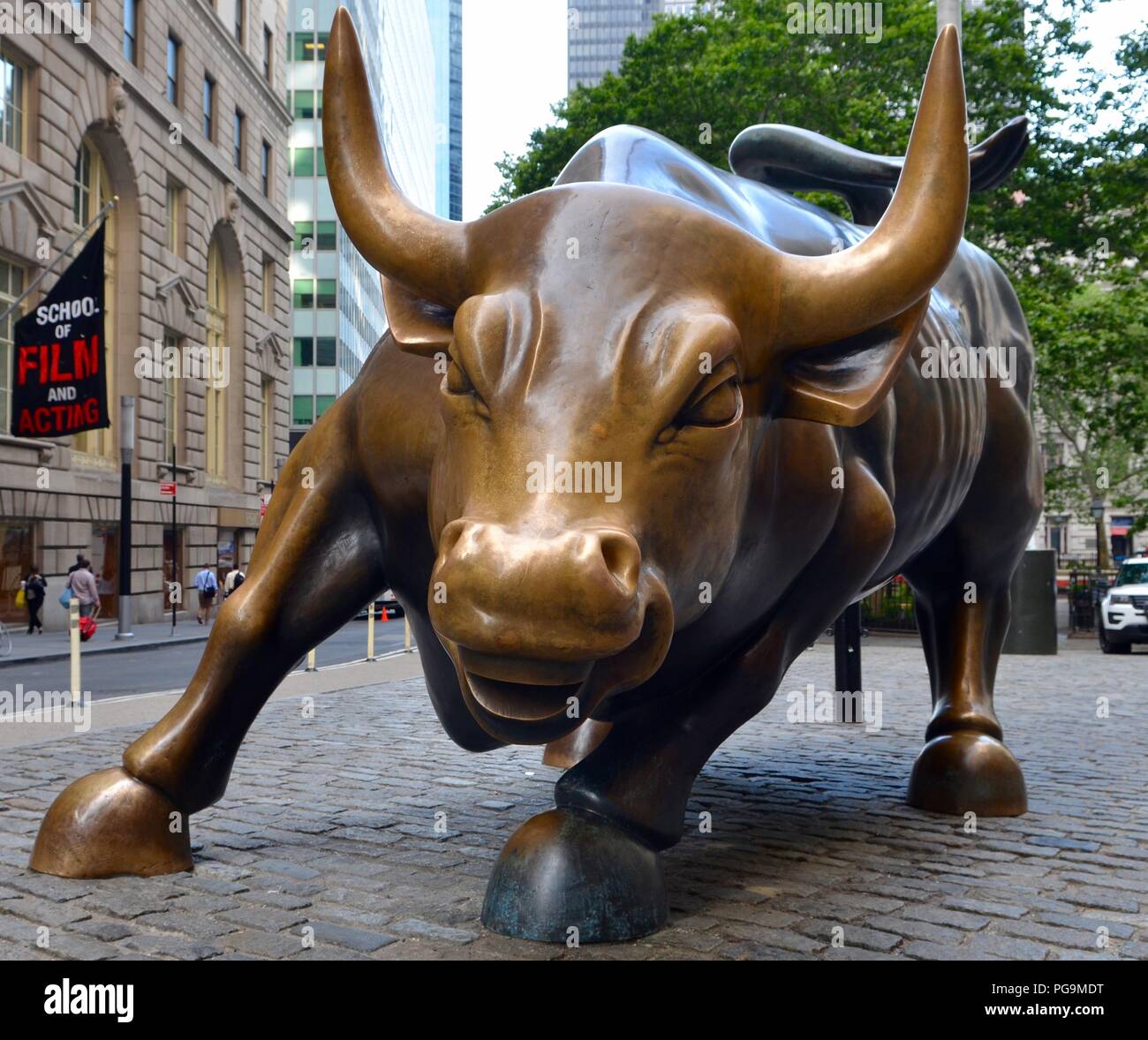 Bull in Lower Manhattan, New York, NY, USA Stock Photo - Alamy
