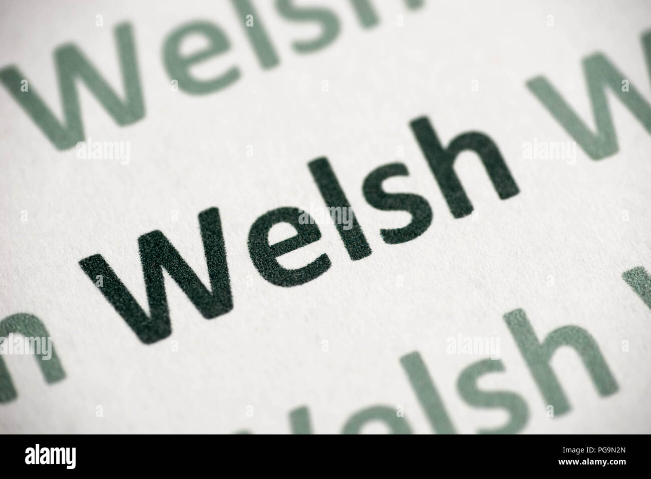 word Welsh language printed on white paper macro Stock Photo - Alamy