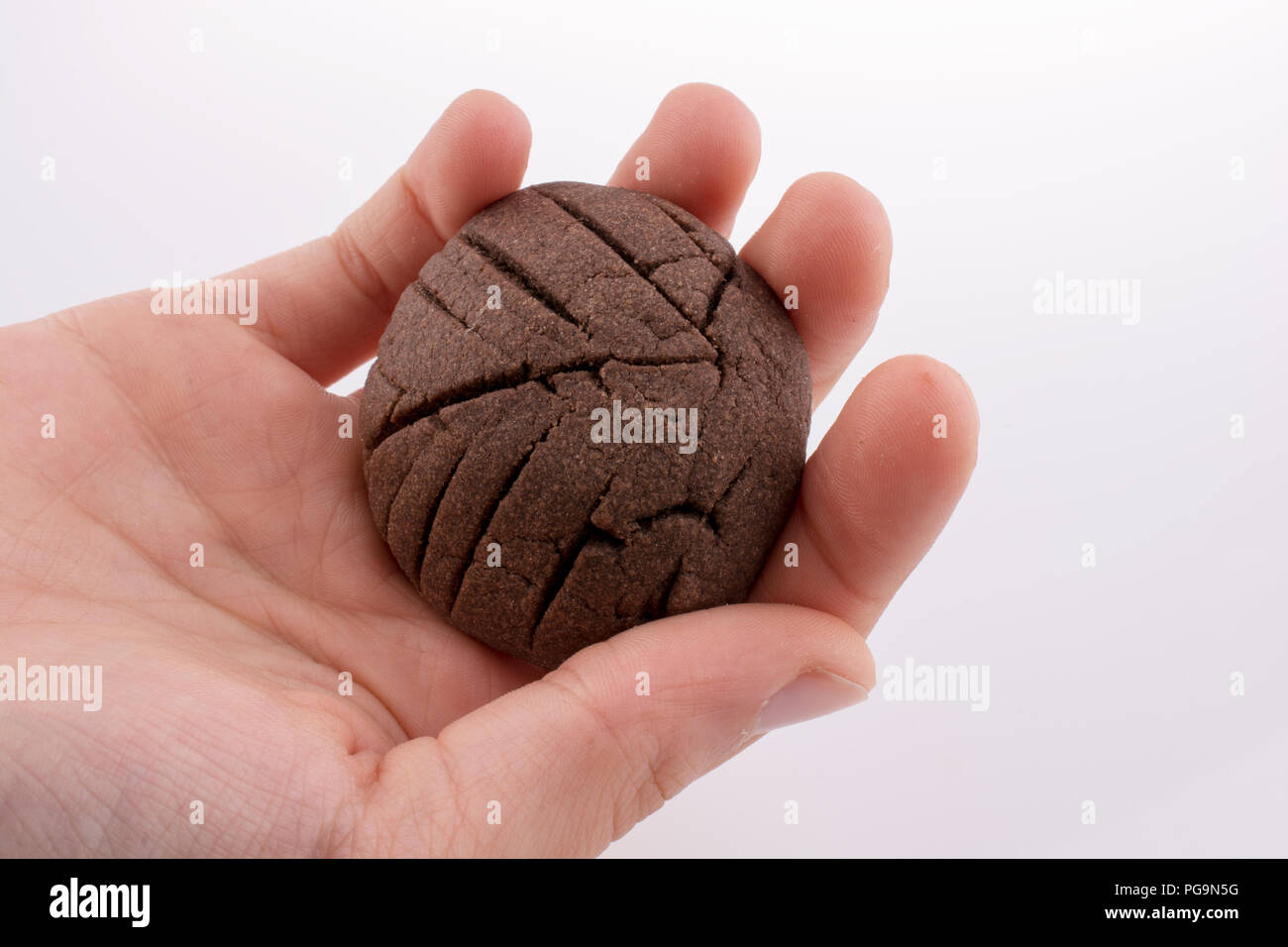 Hand holding a chocolate cookie on a white background Stock Photo - Alamy