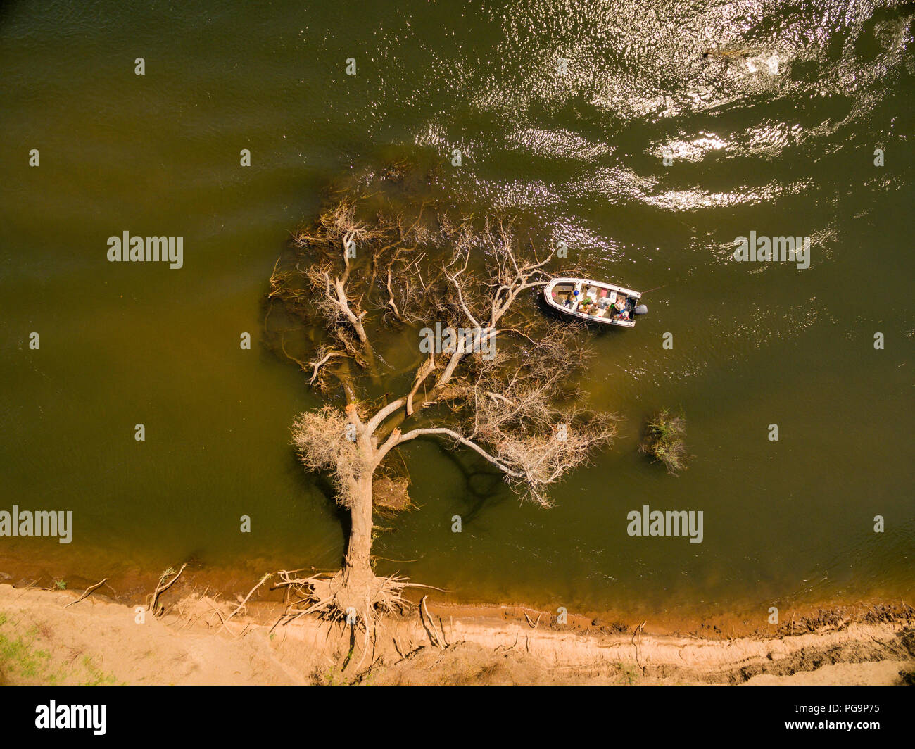 Tree lying in water hi-res stock photography and images - Alamy