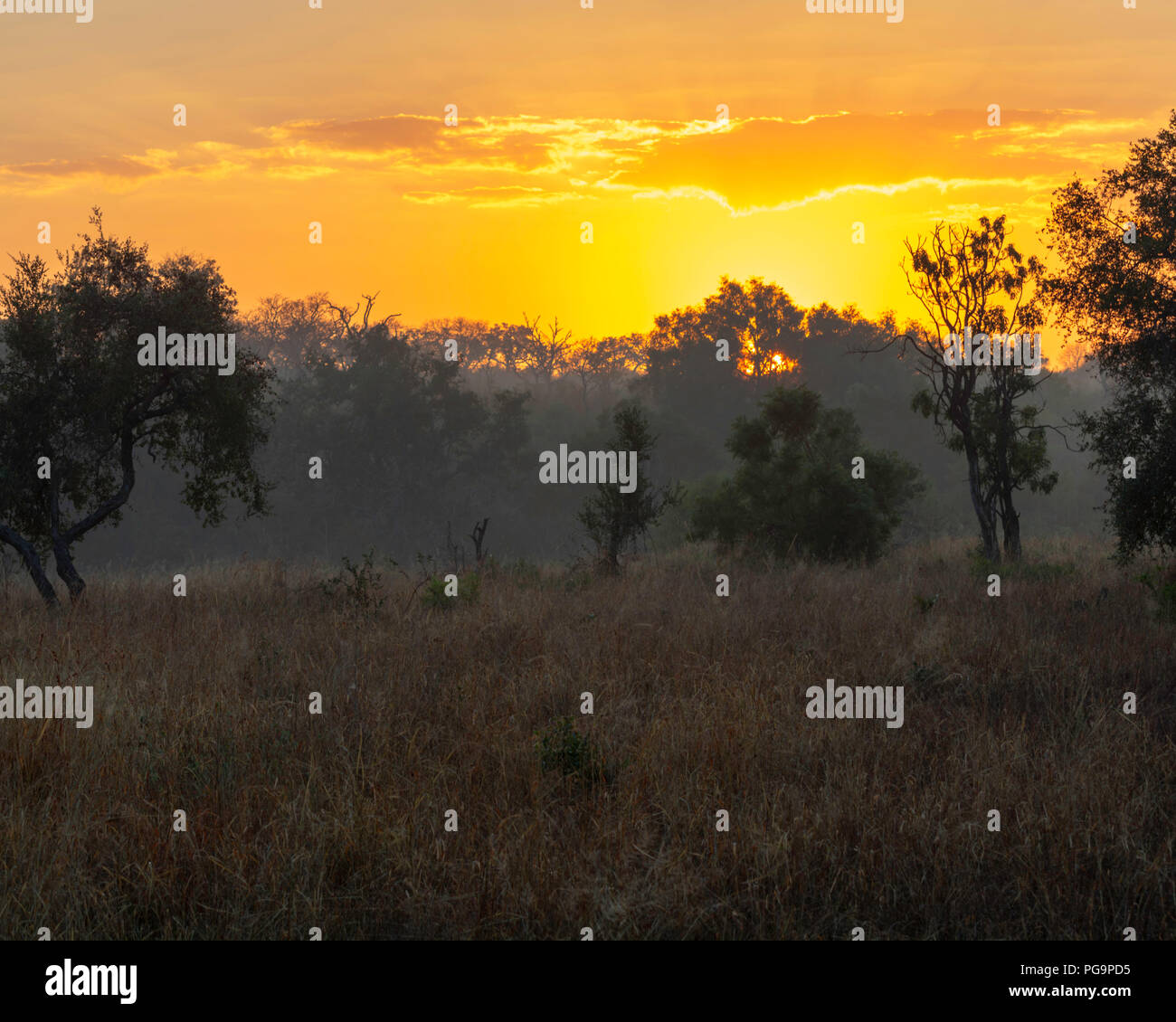 Southern african landscapes hi-res stock photography and images - Alamy