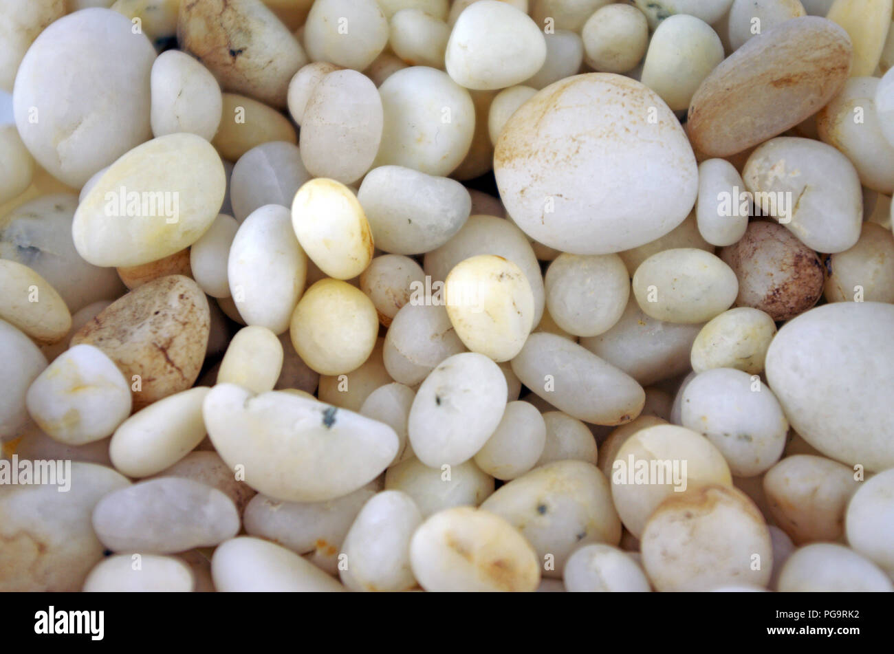 Small white pebbles on the beaches of Croatia Stock Photo - Alamy