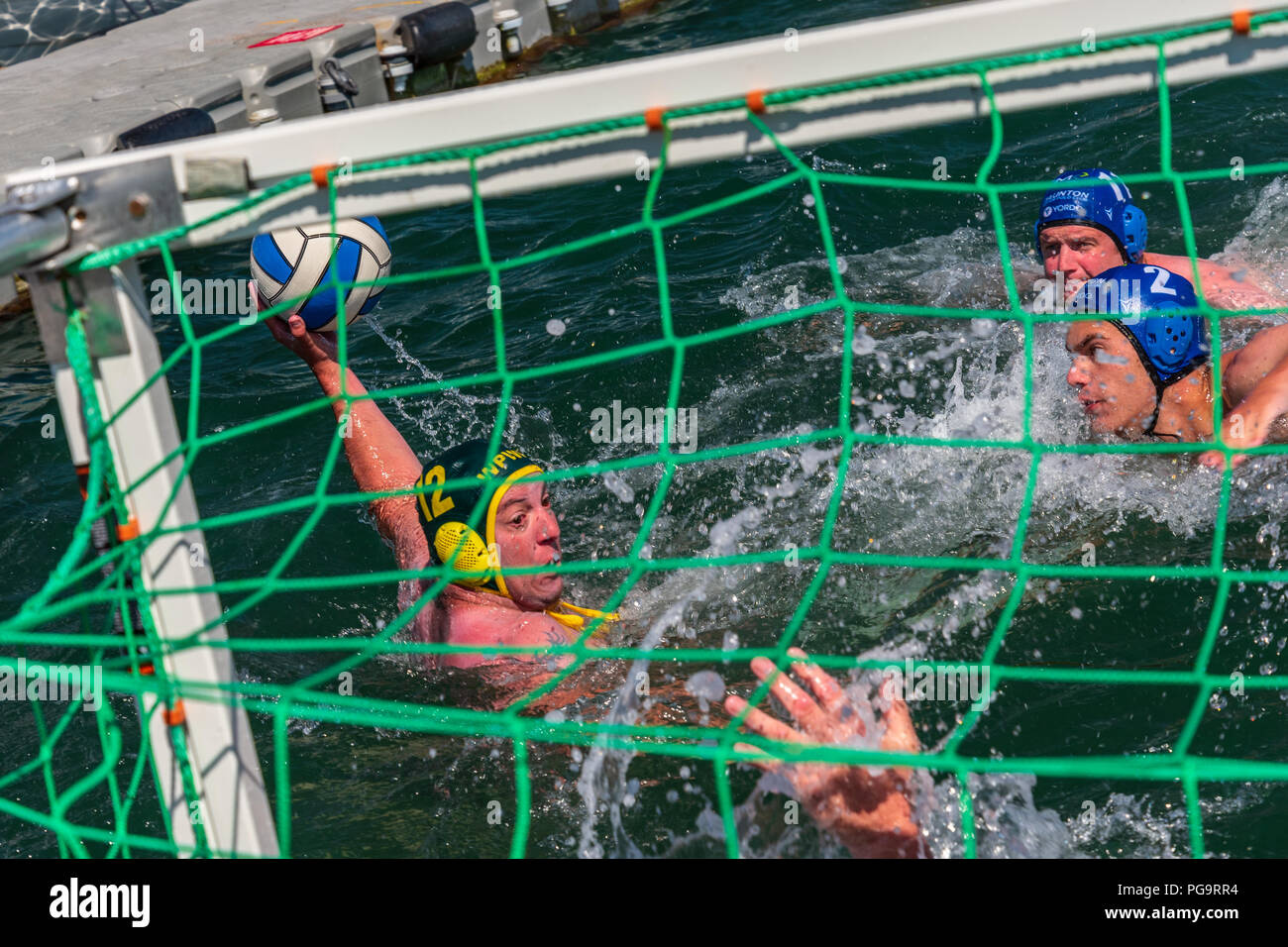 Lyme Splash Sea Water Polo Championships Stock Photo - Alamy