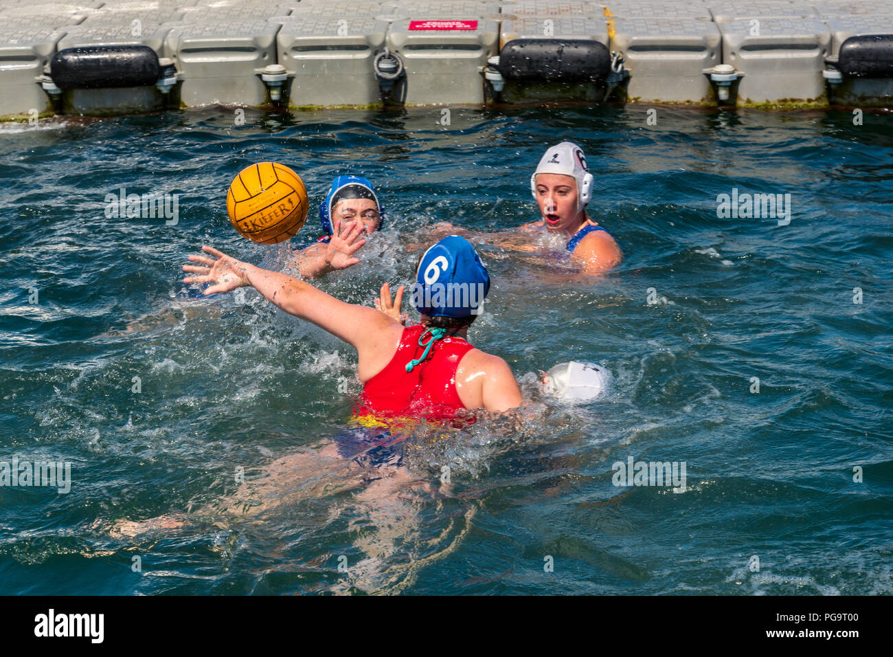 Lyme Splash Sea Water Polo Championships Stock Photo - Alamy