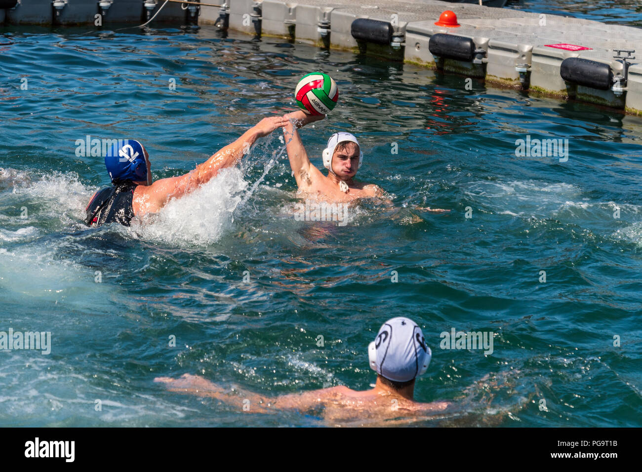 Lyme Splash Sea Water Polo Championships Stock Photo - Alamy