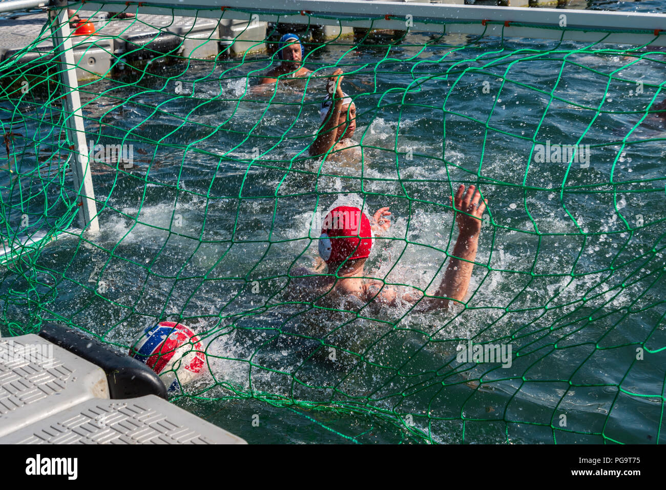 Lyme Splash Sea Water Polo Championships Stock Photo - Alamy