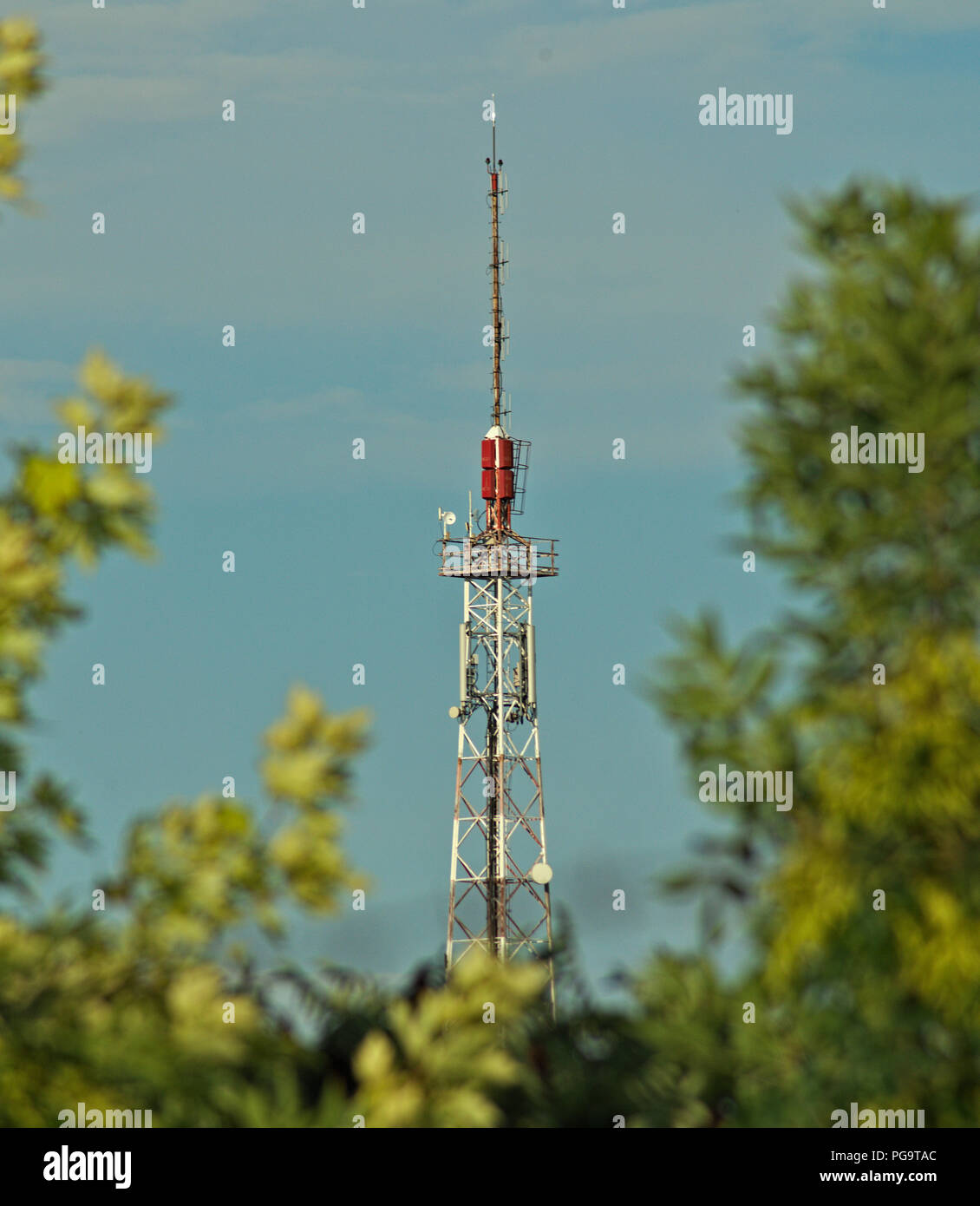 tall Radio tower in between tree branches Stock Photo - Alamy