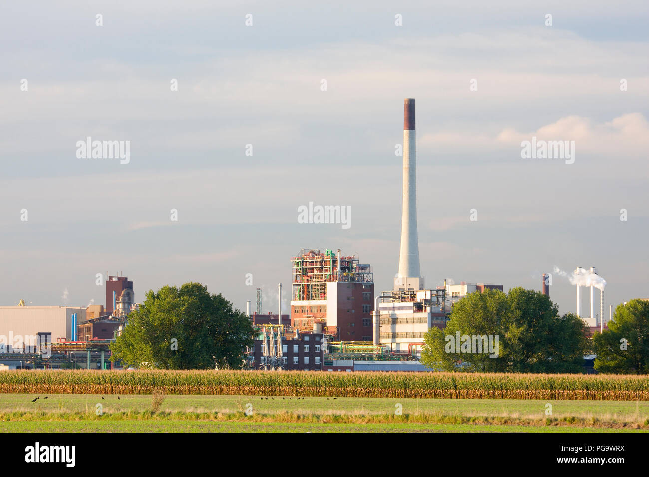 North light factory hi-res stock photography and images - Alamy