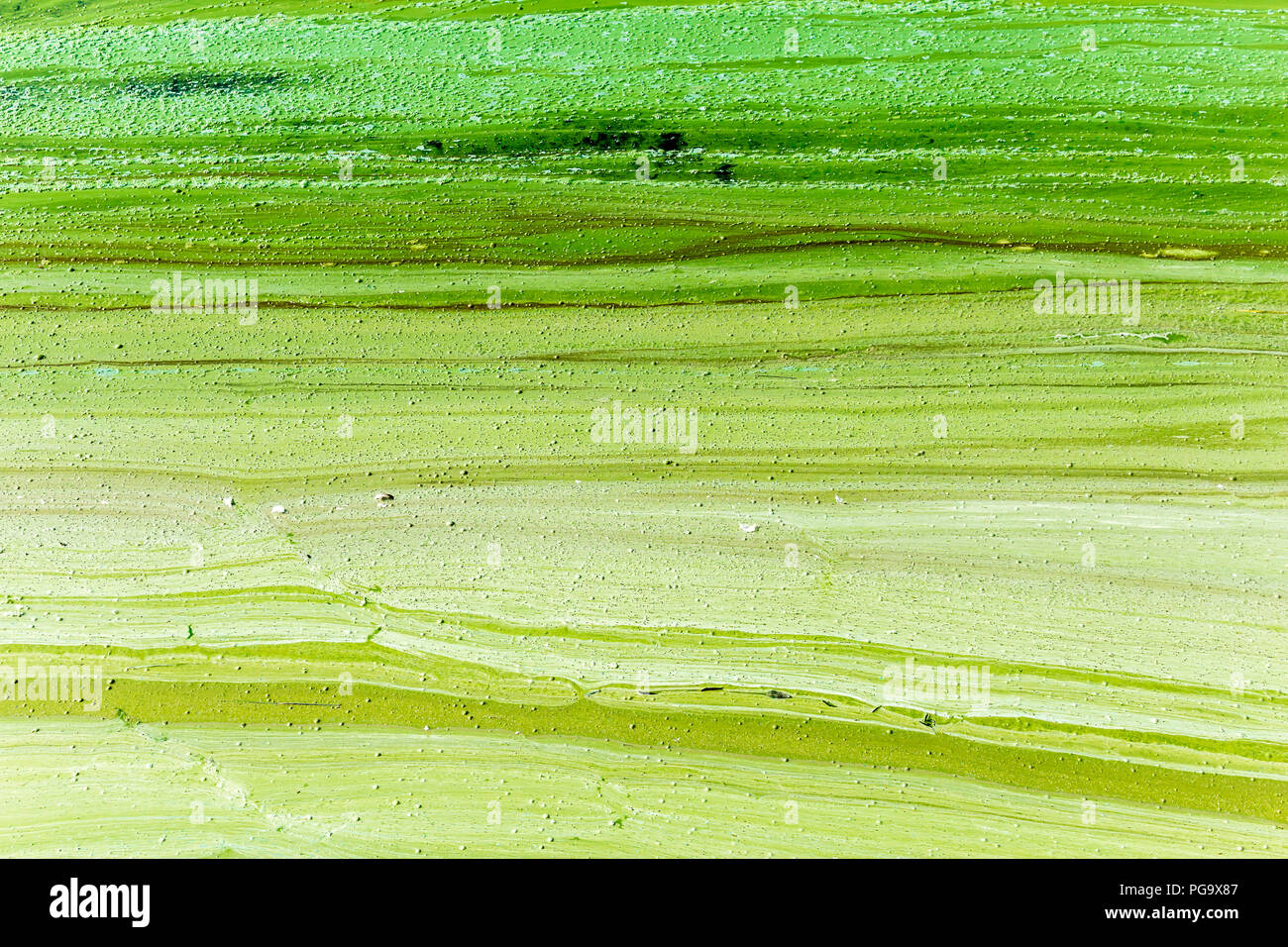 Phytoplankton Bloom High Resolution Stock Photography and Images - Alamy