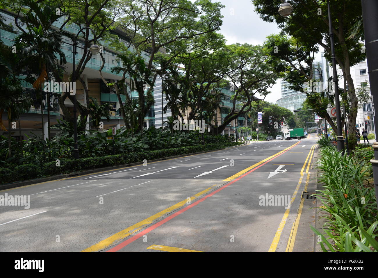 Singapore Clean Streets