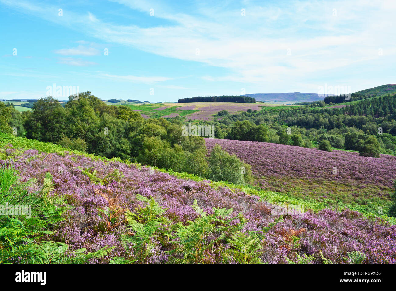 Holystone hi-res stock photography and images - Alamy