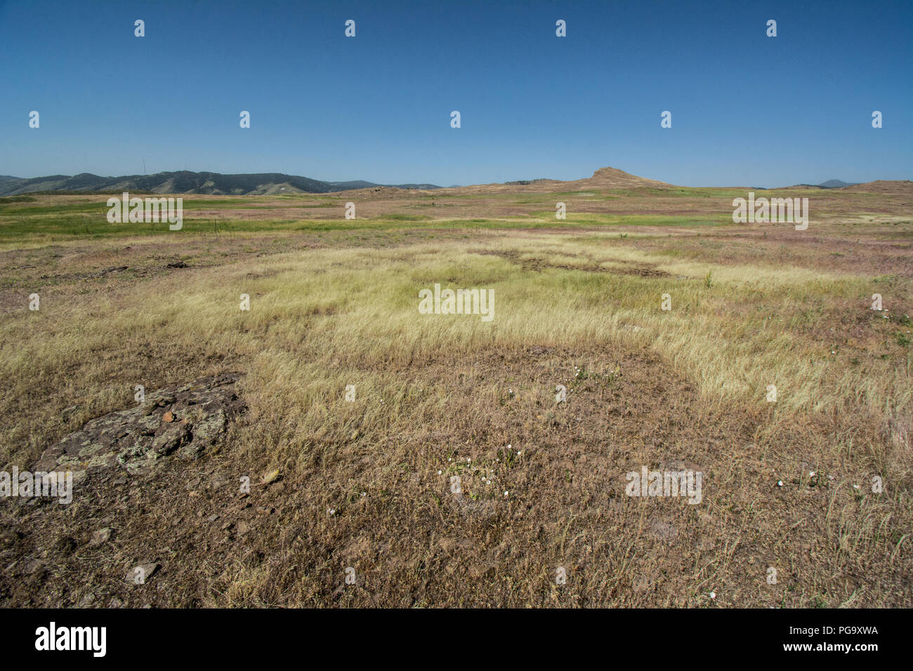 Great Plains Mixed Grass Prairie on top of North Table Mountain Park ...