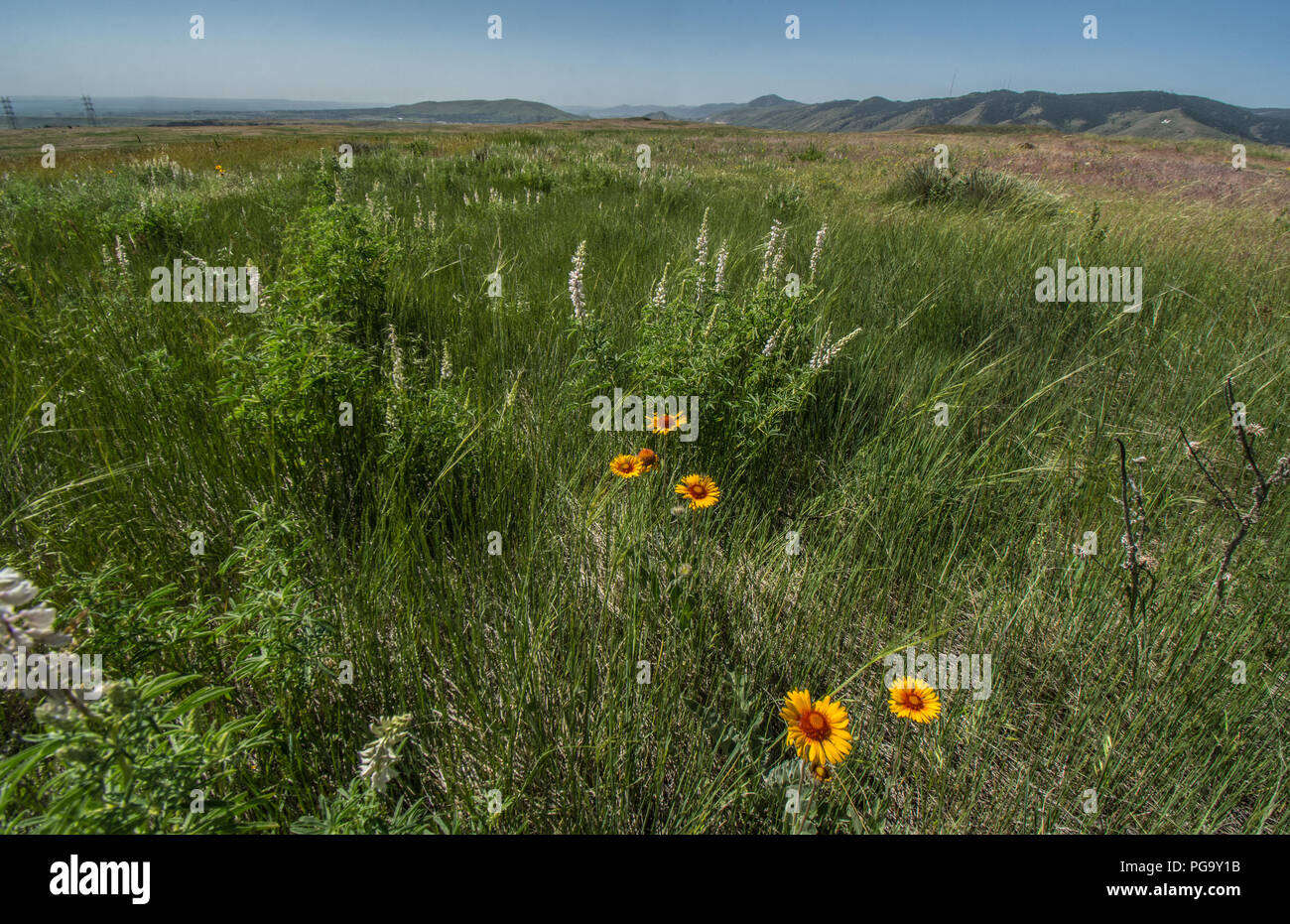Open space at top hi-res stock photography and images - Alamy