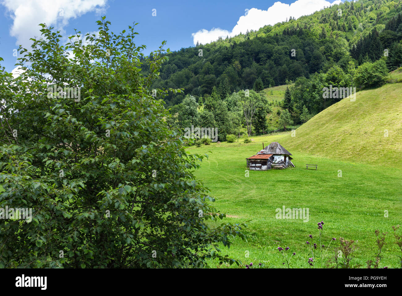 Modest house hi-res stock photography and images - Alamy
