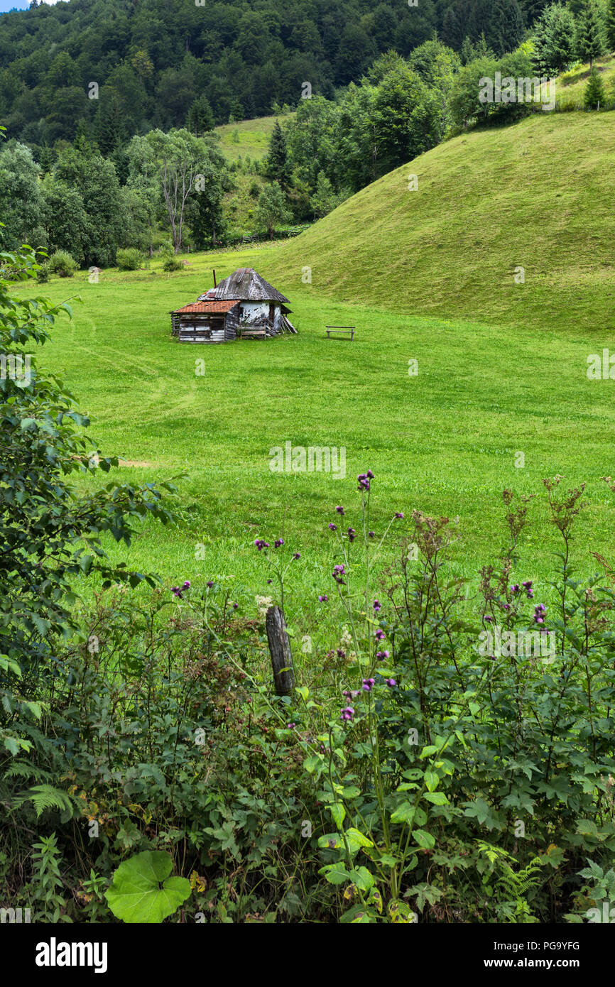 Modest house hi-res stock photography and images - Alamy